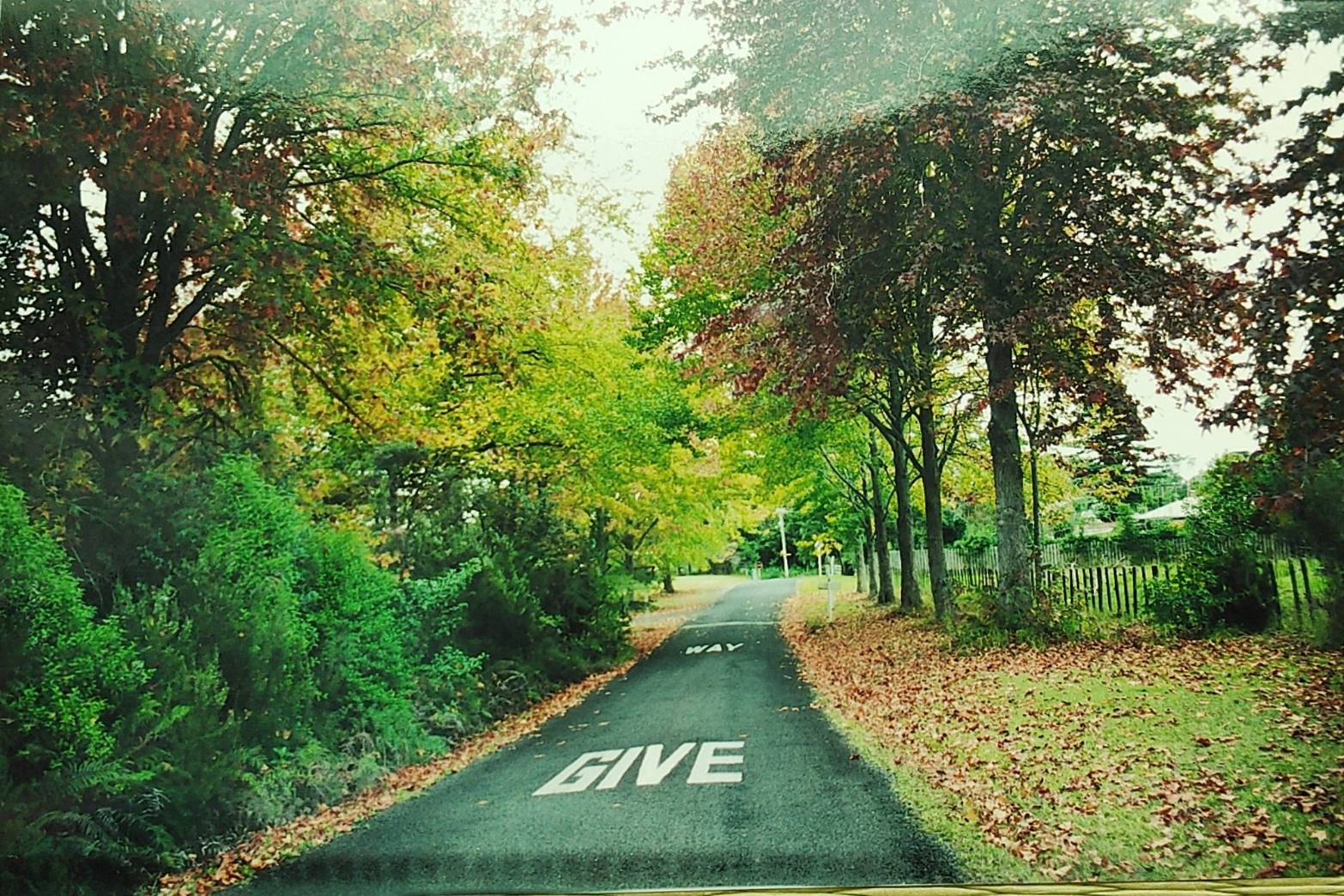 Hi Kiwi! 5 – Starry Sky